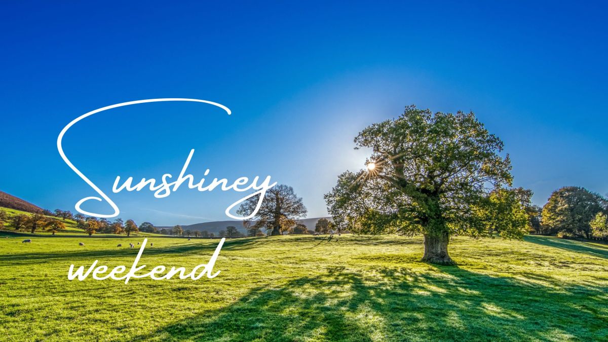 Just your everyday sunny Saturday…